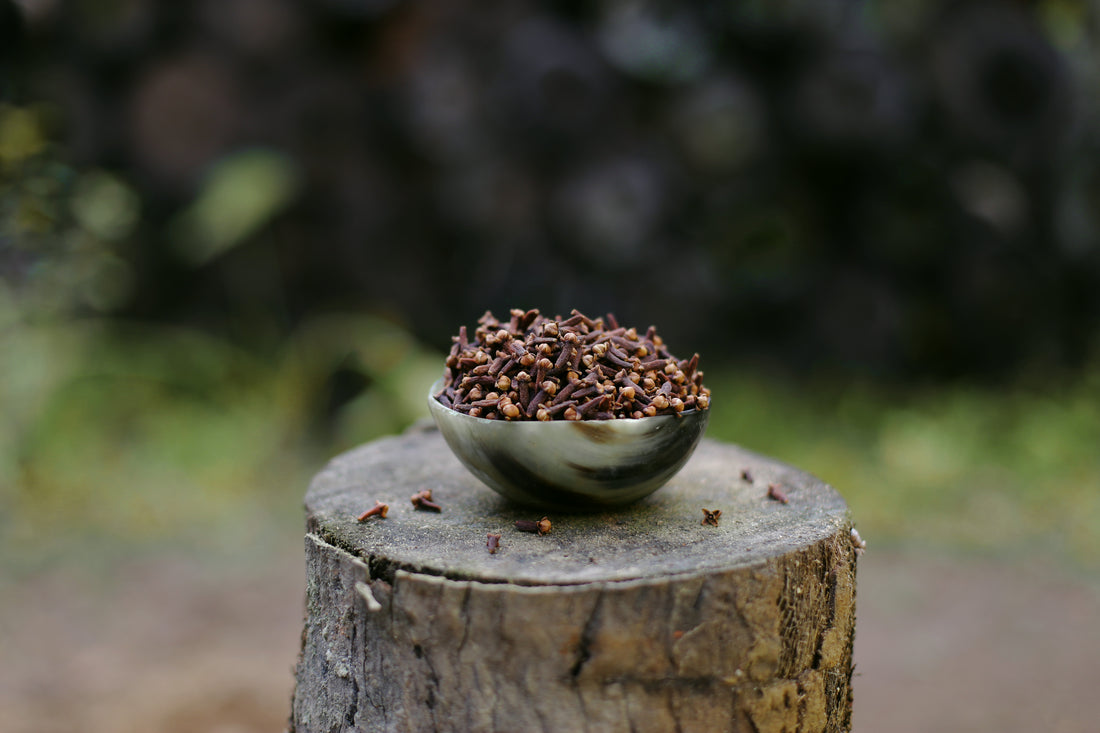 Founders Note – Seeds and Hands
